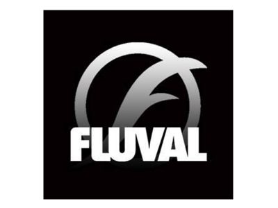 Fish & Reptile | PetZoo